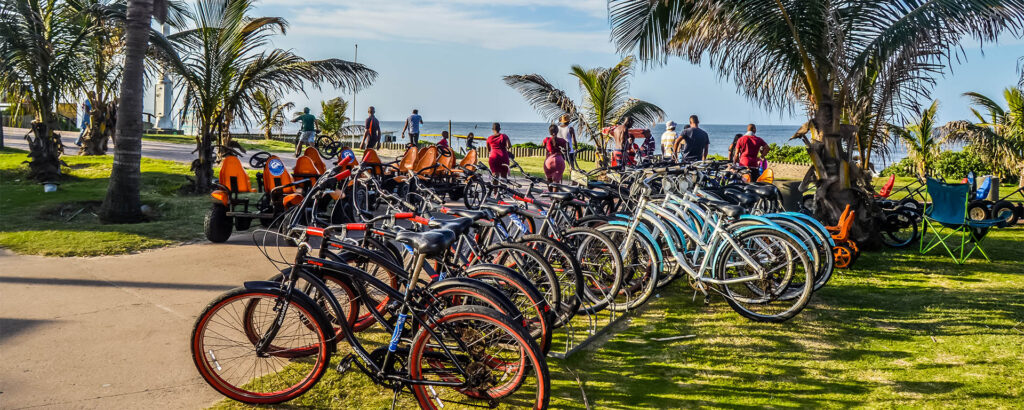Top 10 Spring Activities to Enjoy in Durban - Sweepsouth